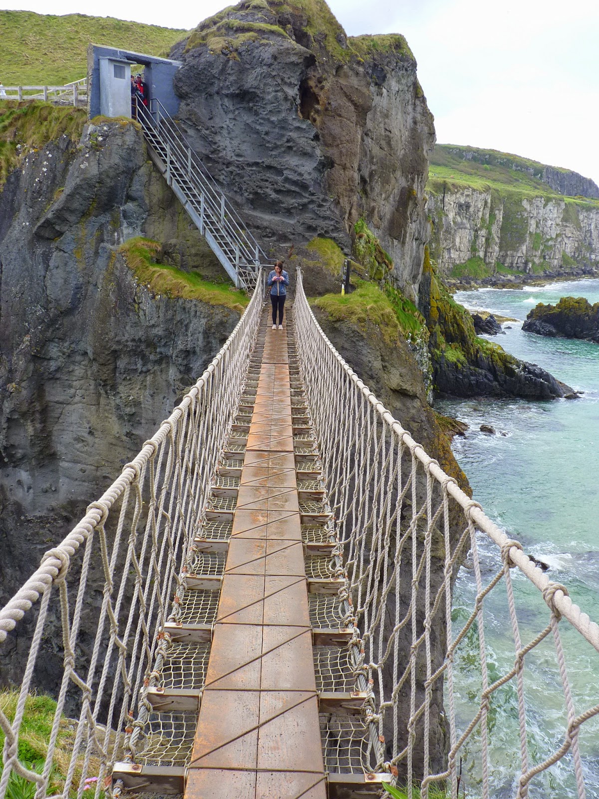 Birding For Pleasure: SATURDAY CRITTERS - Carrick-a Rede Rope Bridge