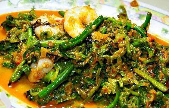 Makanan Khas Nusantara: RESEP DAN CARA MEMASAK PAKIS YANG PALING ENAK