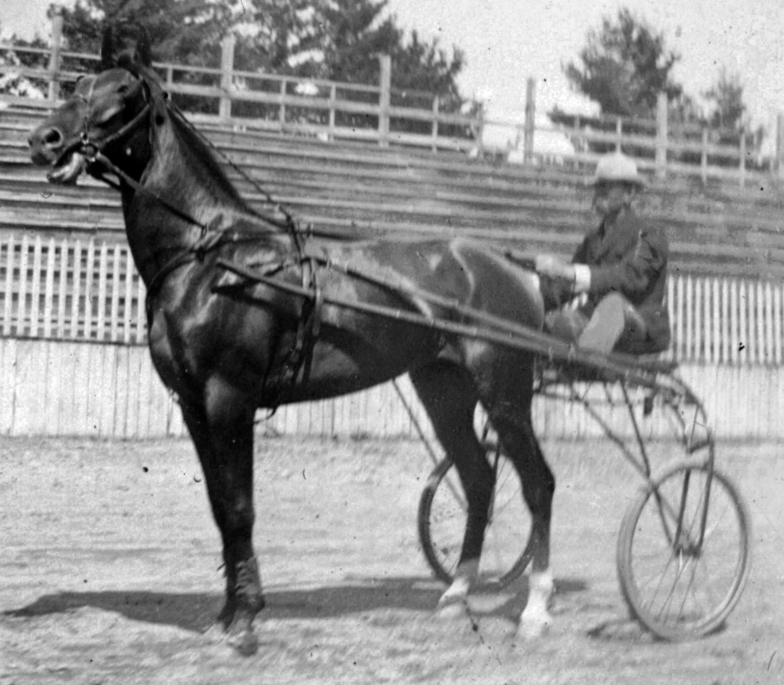 The Lost Trotting Parks Heritage Center -- Storyboard Archives: J.W ...