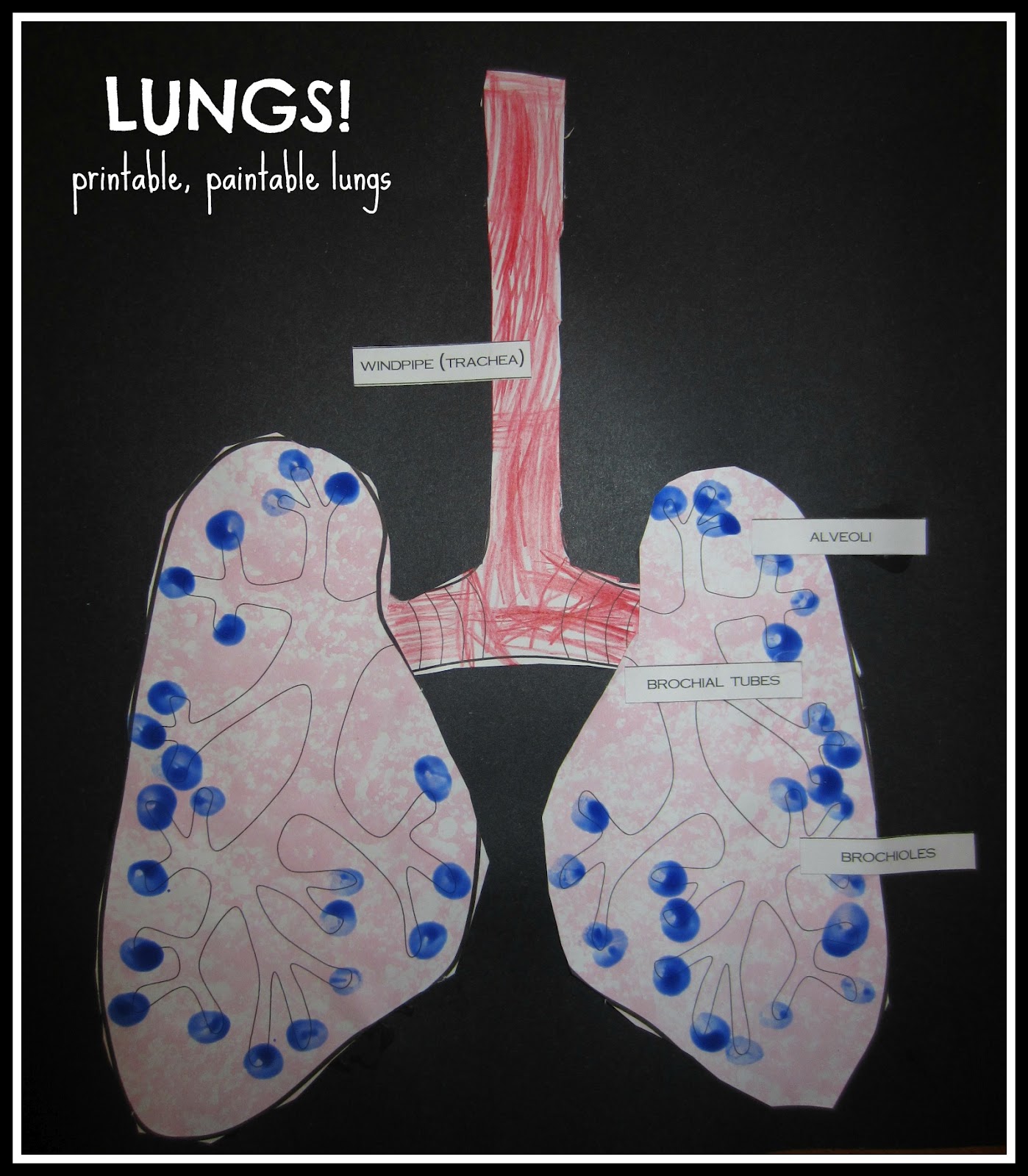 Relentlessly Fun, Deceptively Educational: Sponge-stamped Lungs “Art”