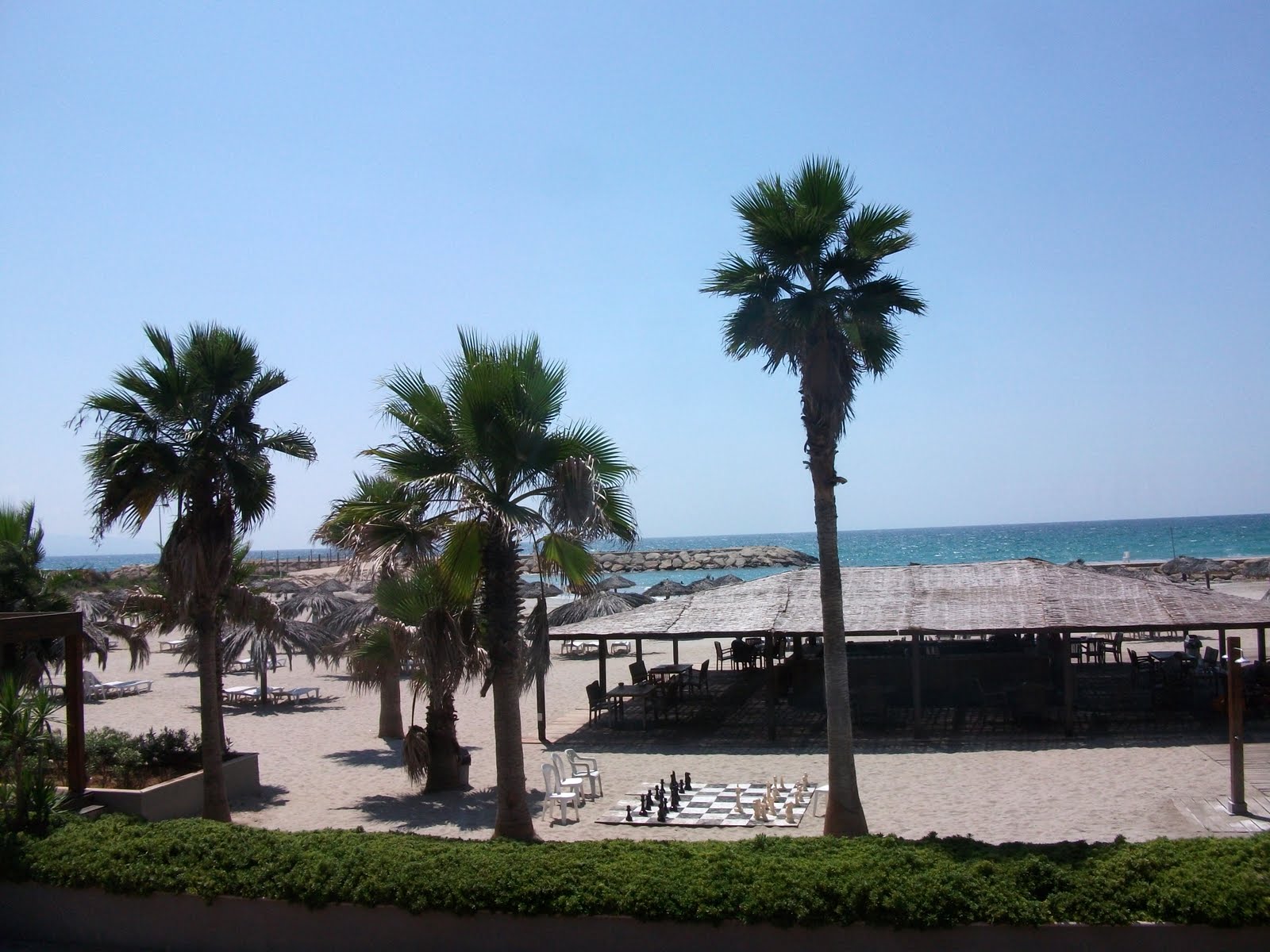 Mich Café: My Nirvana Day in Tyre