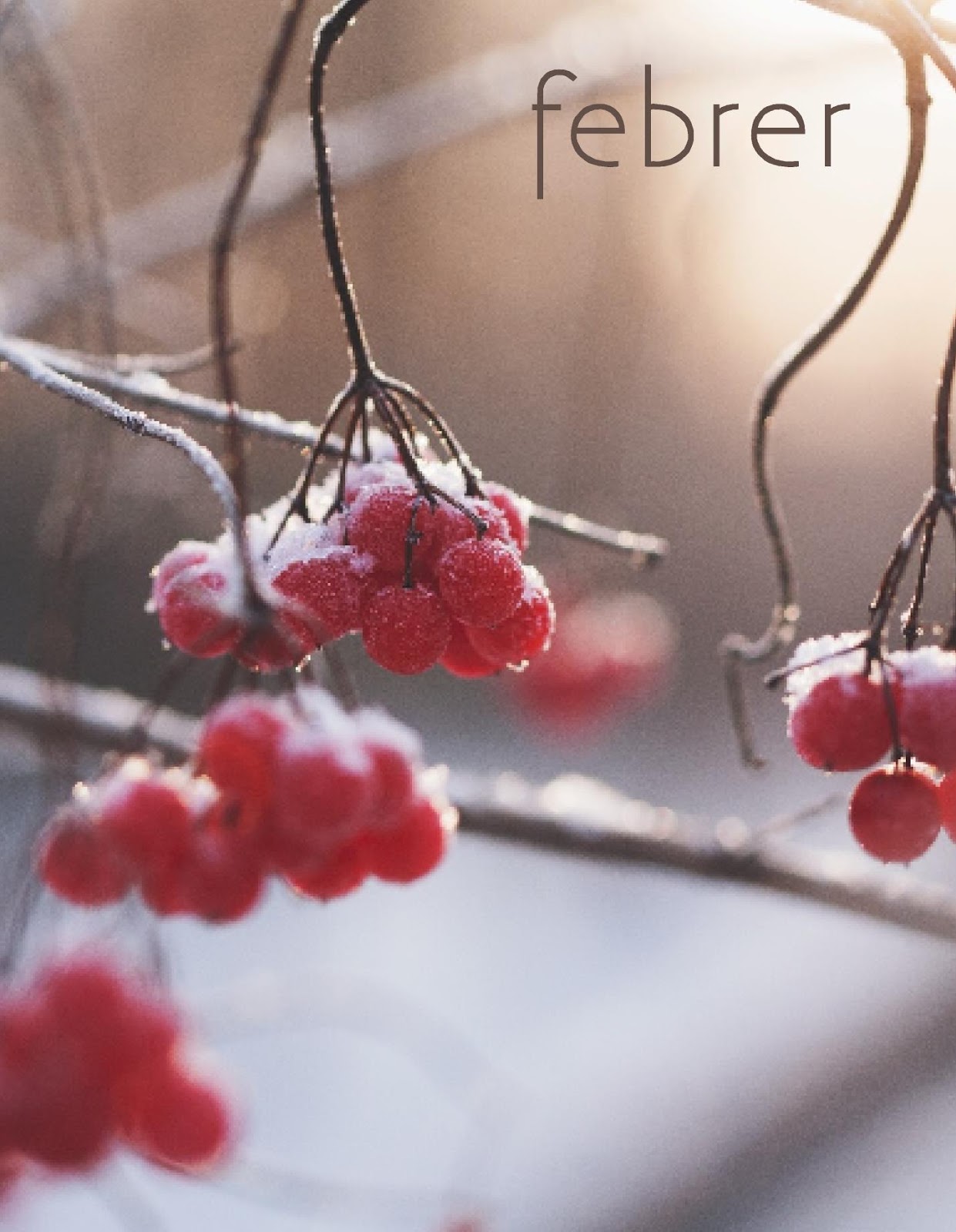 Quatre Fulles: FEBRER