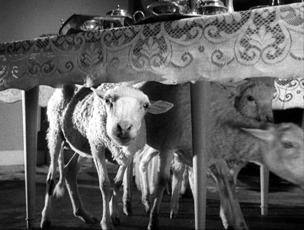 13: El ÀNGEL EXTERMINADOR - Luis Buñuel -"The Exterminating Angel" (1962)