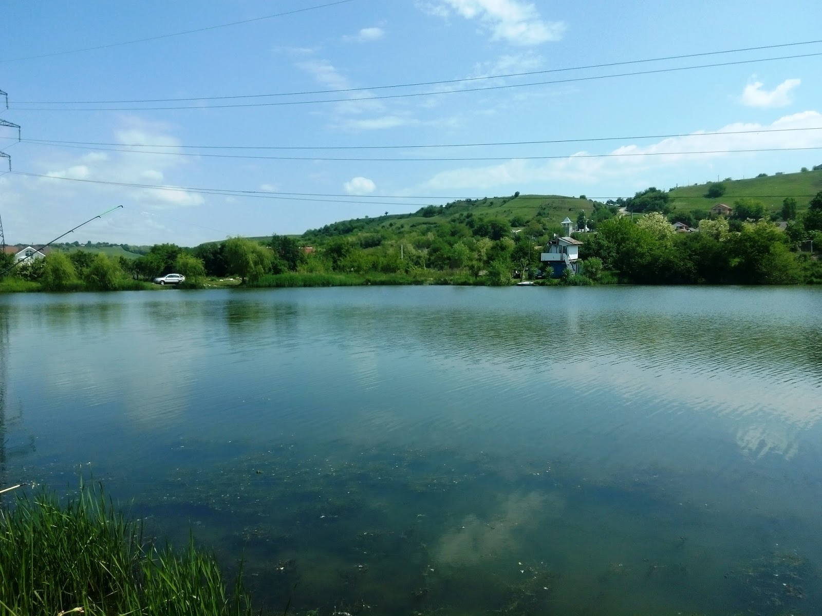 negutjoe: Primul pescuit la baltă în 2017