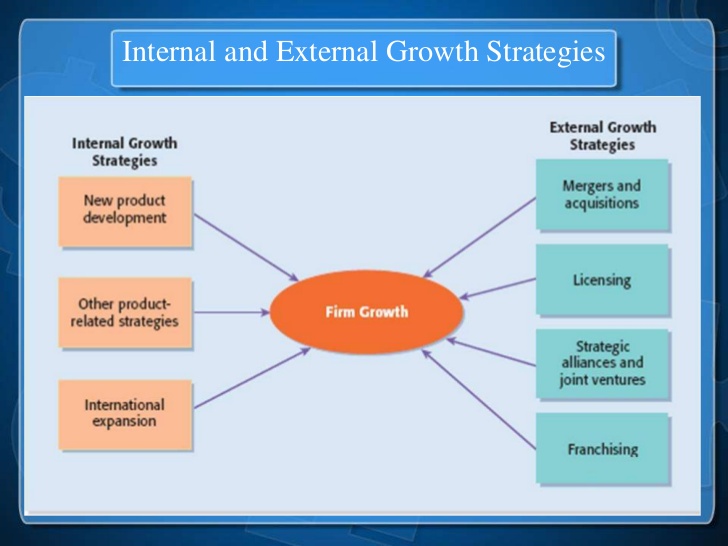 Chapter 14. Strategies for Firm Growth