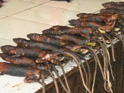 Daging Tikus Dan Kelelawar 'rasanya mau nambah' - Portal Berita