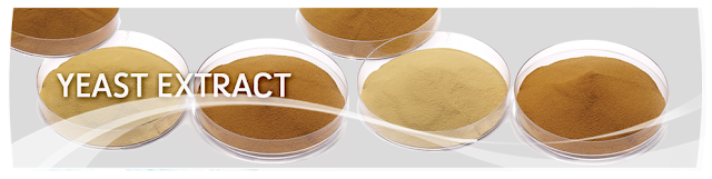 Yeast Extract mua ở đâu? - Hóa Chất và Môi Trường Vi Sinh