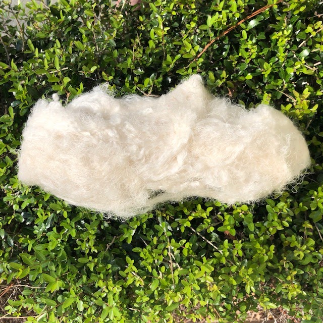 spinsjal: Savannah's Silk History and Working with Cocoons and Silk Lap