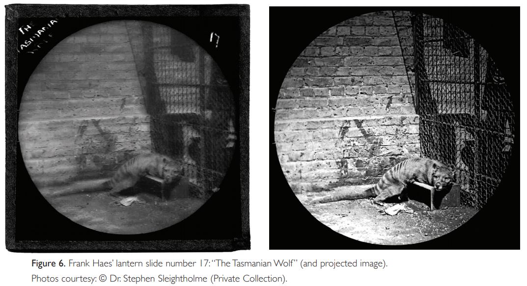 Thomas J. Nevin | Tasmanian Photographer: Captain Edward Goldsmith ...