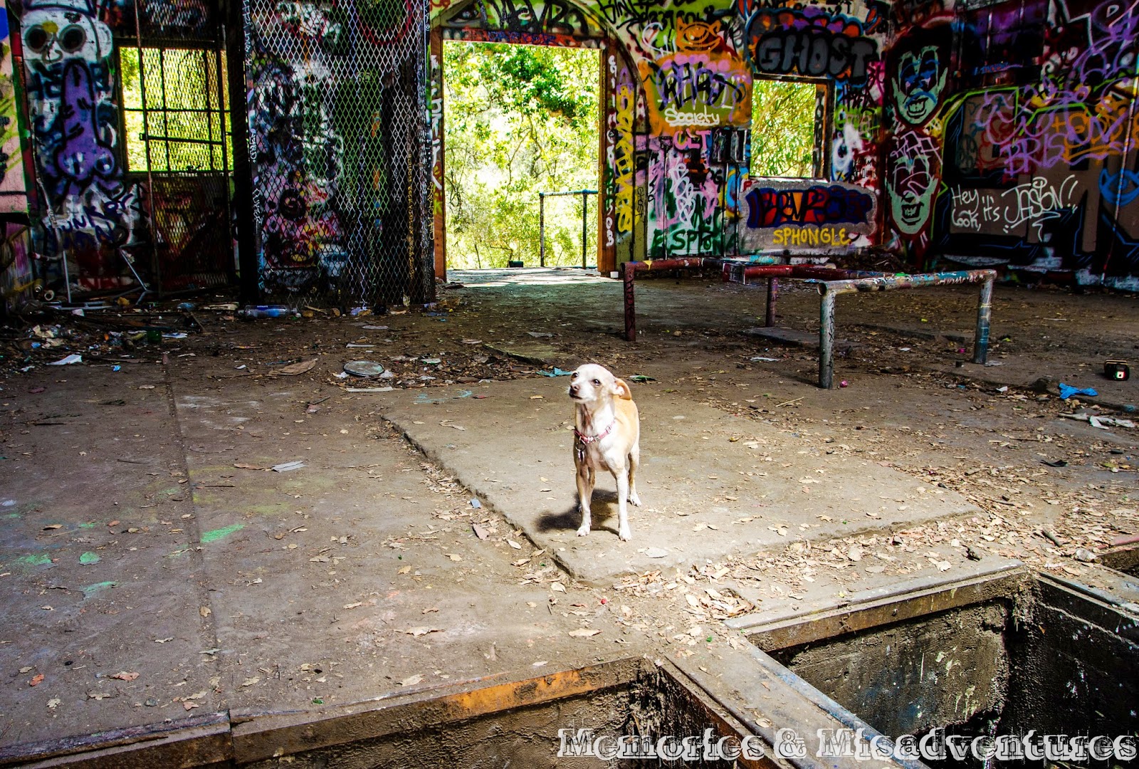 Memories and Misadventures: Murphy's Ranch (Abandoned Nazi Compound)