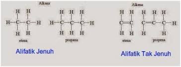 Kimia Organik I: klasifikasi senyawa organik