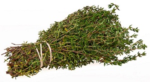 cimbru planta medicinala-thyme herb | Farmacia Naturală