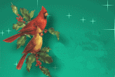 Animation Bundle: Animated Cardinals Chirping and Spreading Love of ...