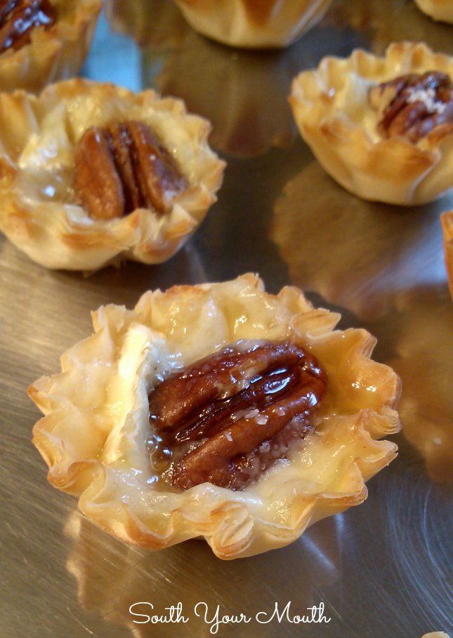 Brie Tartlets {Blackberry, Salted Pecan and other Combos} | South Your ...