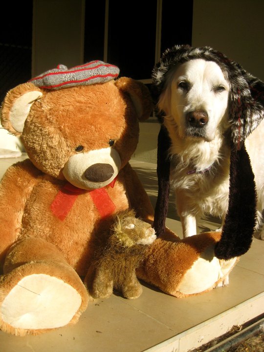 Julie Loka: Falcor - Where Is He Now?