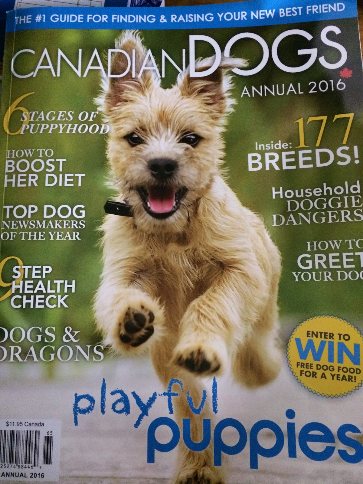 Windara Labrador Retrievers: Where We Advertise