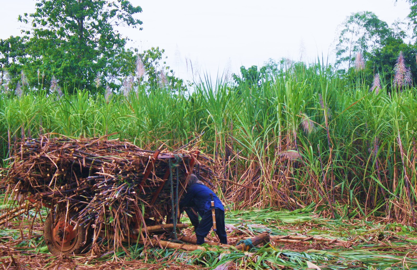 The Road Less Traveled: An Island & Mountain Adventure: Kipot Twin ...