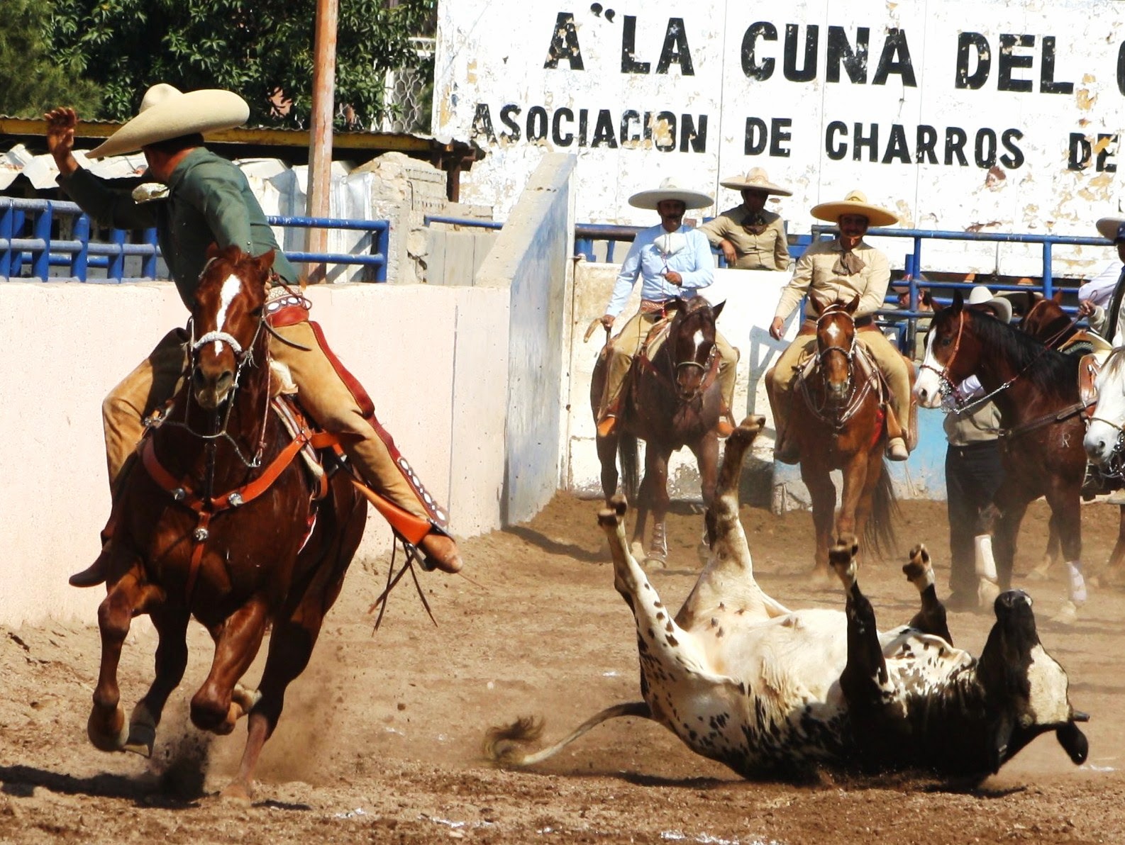 la charreria: tercera suerte charra
