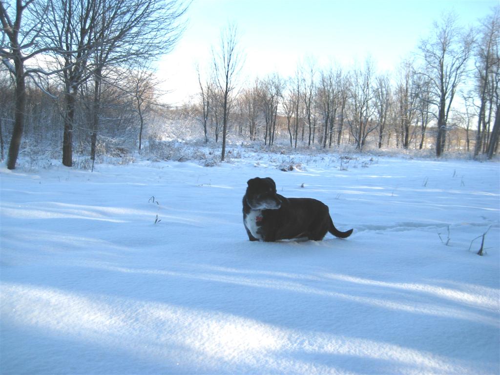 Plants Amaze Me: Remembering Tilly the Oreo Princess