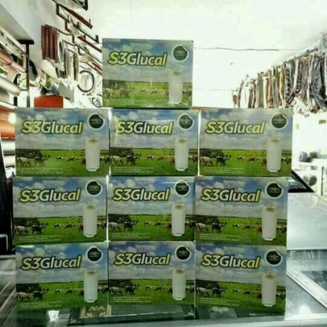 Kandungan Komposisi Dan Manfaat S3 GLUCAL - S3 GLUCAL