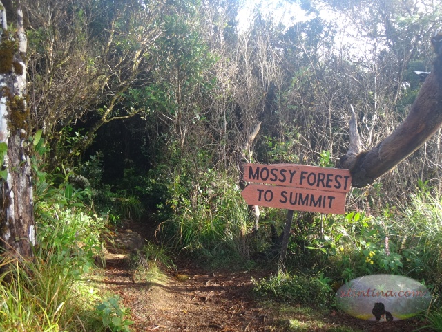 Day 2: Mt. Tapulao, Palauig, Zambales (Overnight Hike) - celebraTINg ...