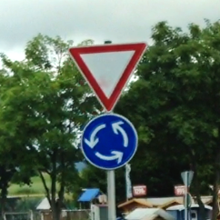 My Blue Eyed Cutie Pies