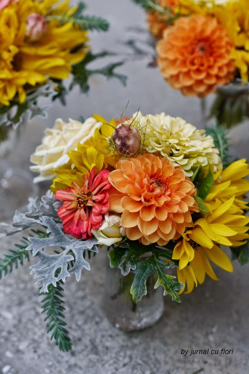 Jurnal cu flori: Mijloc de septembrie plin cu flori