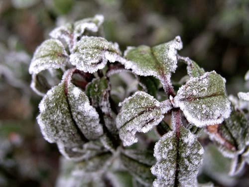 La Helada Negra online schauen in in 21:9 - herecfil