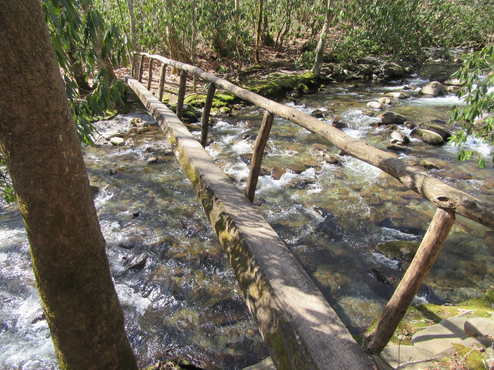 Hikertrash 900: Bradley Fork, Tow String and Smokemont Loop Trails