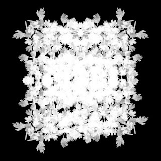 Lori's PSP Graphics: 3 Autumn Leaf Masks