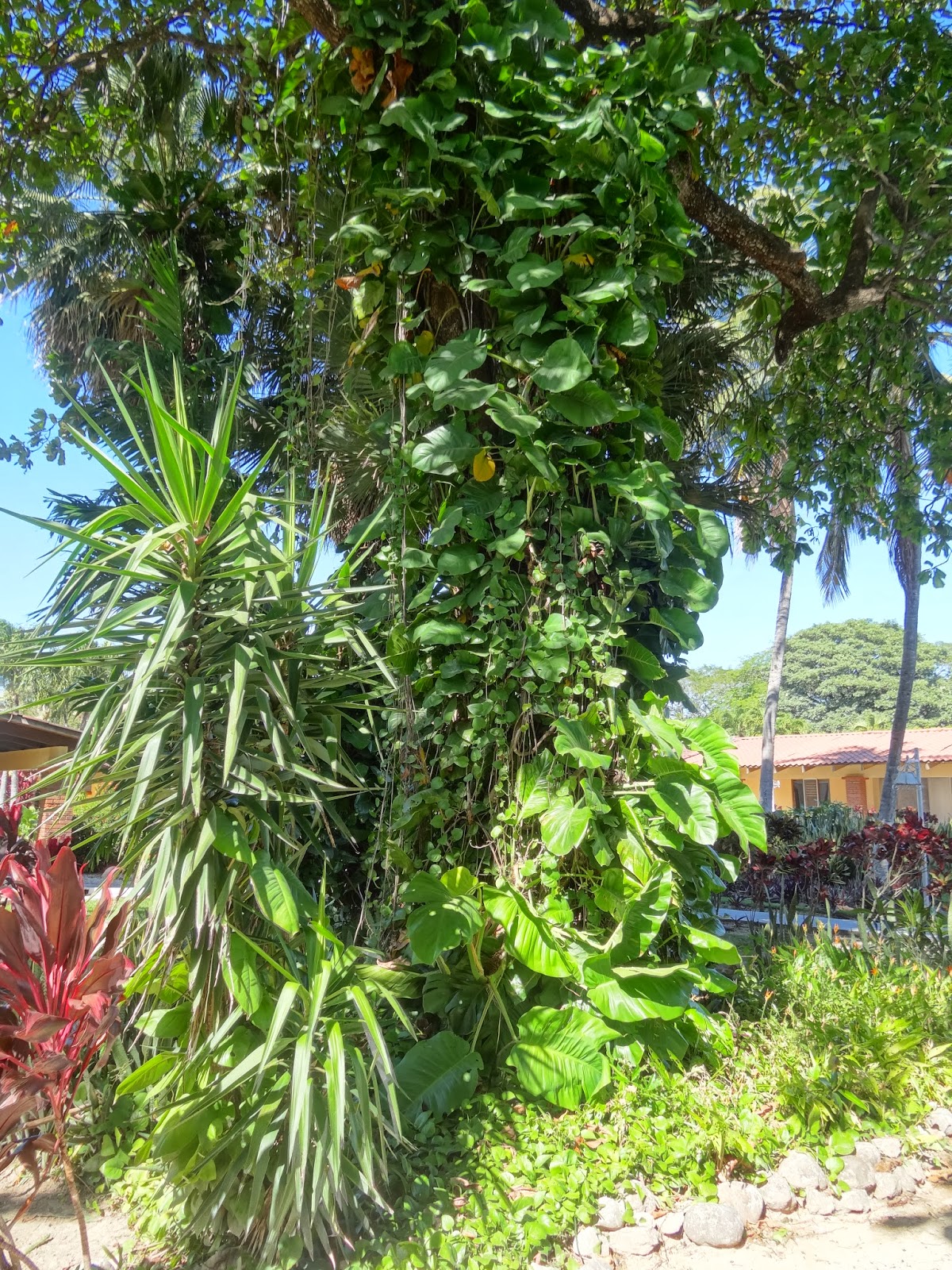 Chasing Dreams On 2 Wheels: December 25, 2013, Liberia, Costa Rica, 32 ...