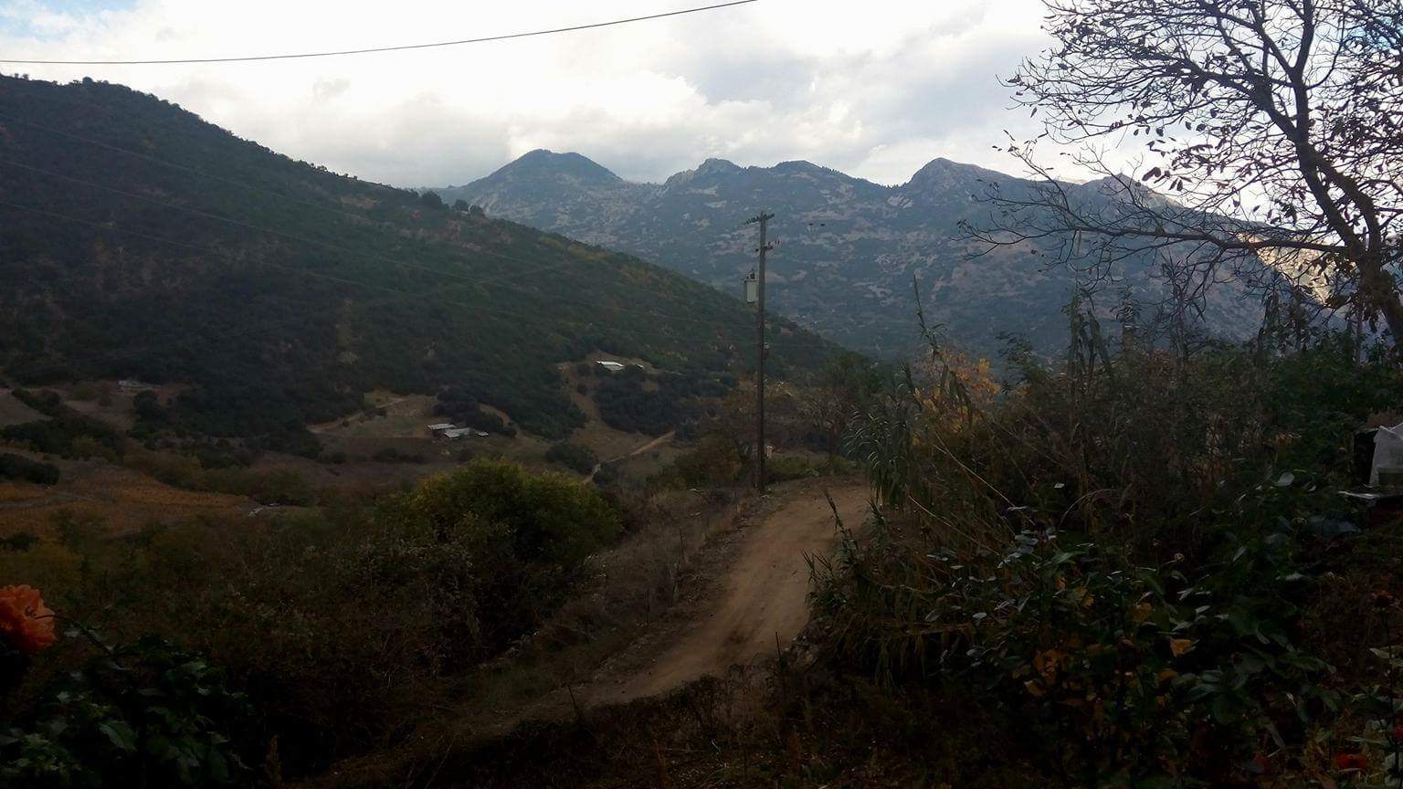 ΕΞΩΡΑΪΣΤΙΚΟΣ ΣΥΛΛΟΓΟΣ ΠΕΤΣΑΚΩΝ ΚΑΛΑΒΡΥΤΩΝ : 2017