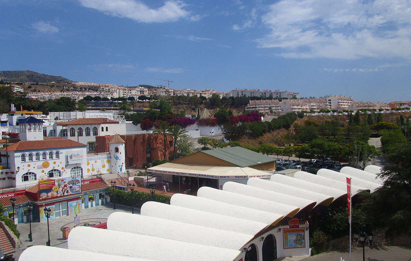 Way Up High – Moving with Mitchell