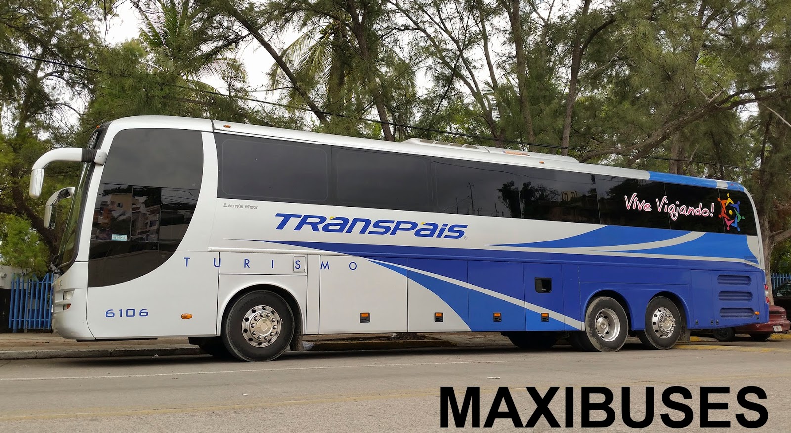 MAXIBUSES: TRANSPAÍS TURISMO (TURISMO)