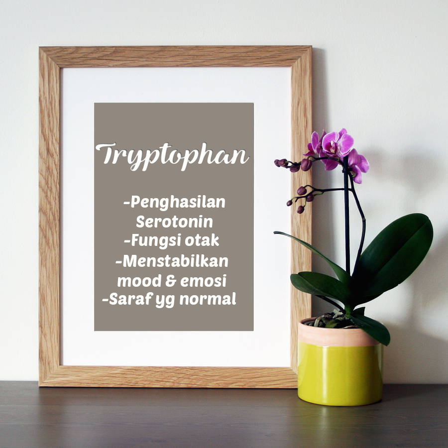 Kenali 9 Jenis Protein Asid Amino Perlu Yang Tubuh Anda Mahukan - Noor ...