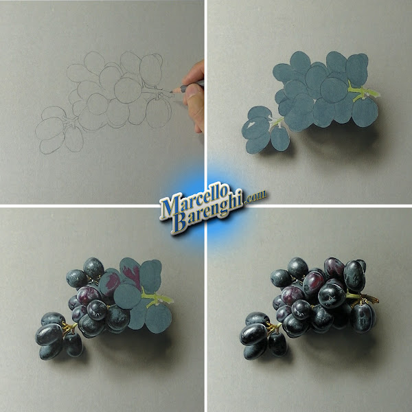 Drawing black grapes - Marcello Barenghi