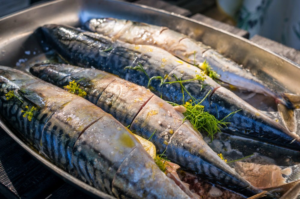 Helgrillad egenfångad makrill
