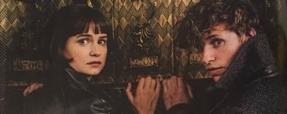 Tina e Newt Scamander aparecem em nova imagem promocional. - House Hogwarts