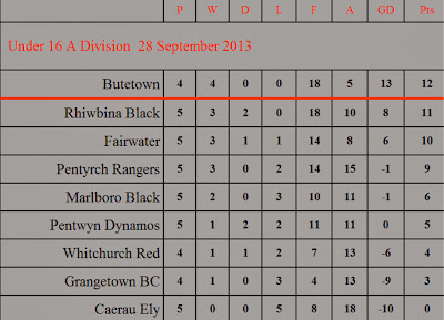 Pentwyn Dynamos Under 16s 2013/14