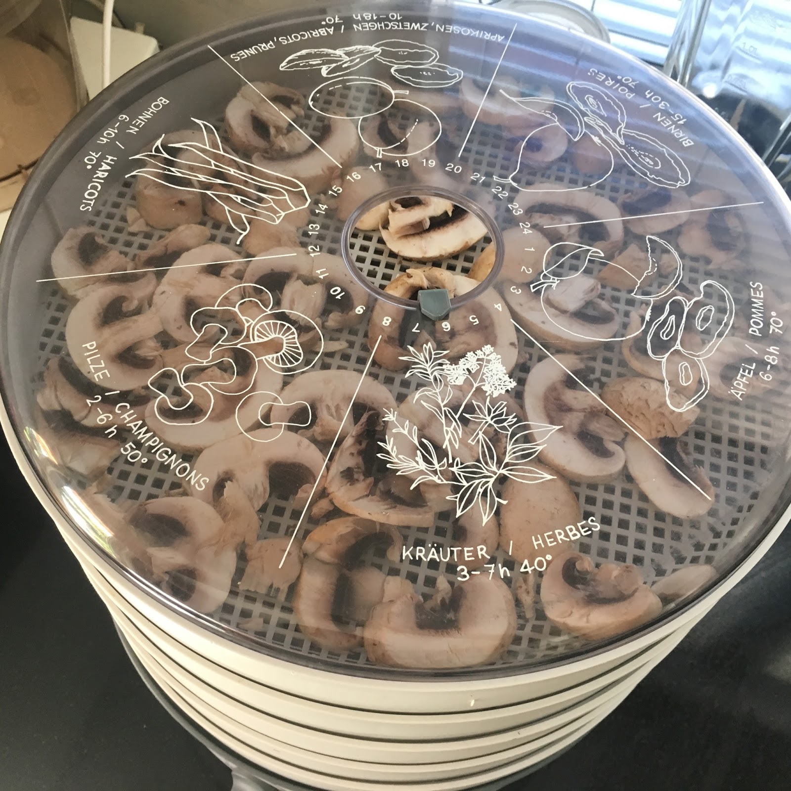 HEX - passie voor zelfmaken: gedroogde champignons of andere paddenstoelen