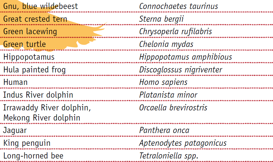 Beautiful Nature: List of Species