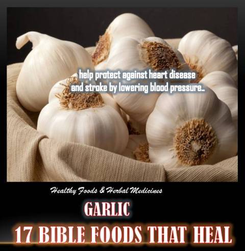 17 BIBLE FOODS THAT HEAL: GARLIC