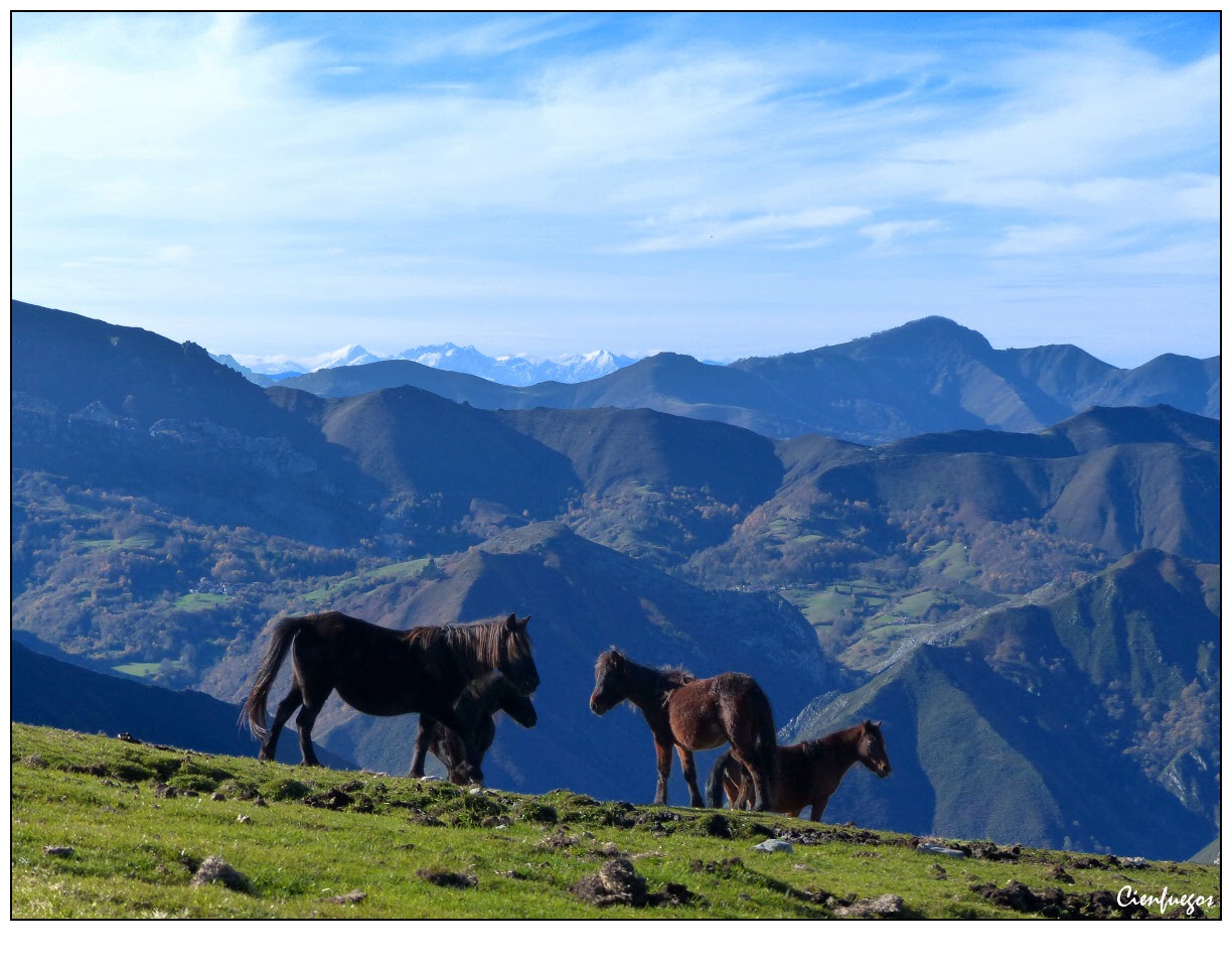 Caleyando con Cienfuegos: Cerru Niañu por La Escosura y Sobañéu