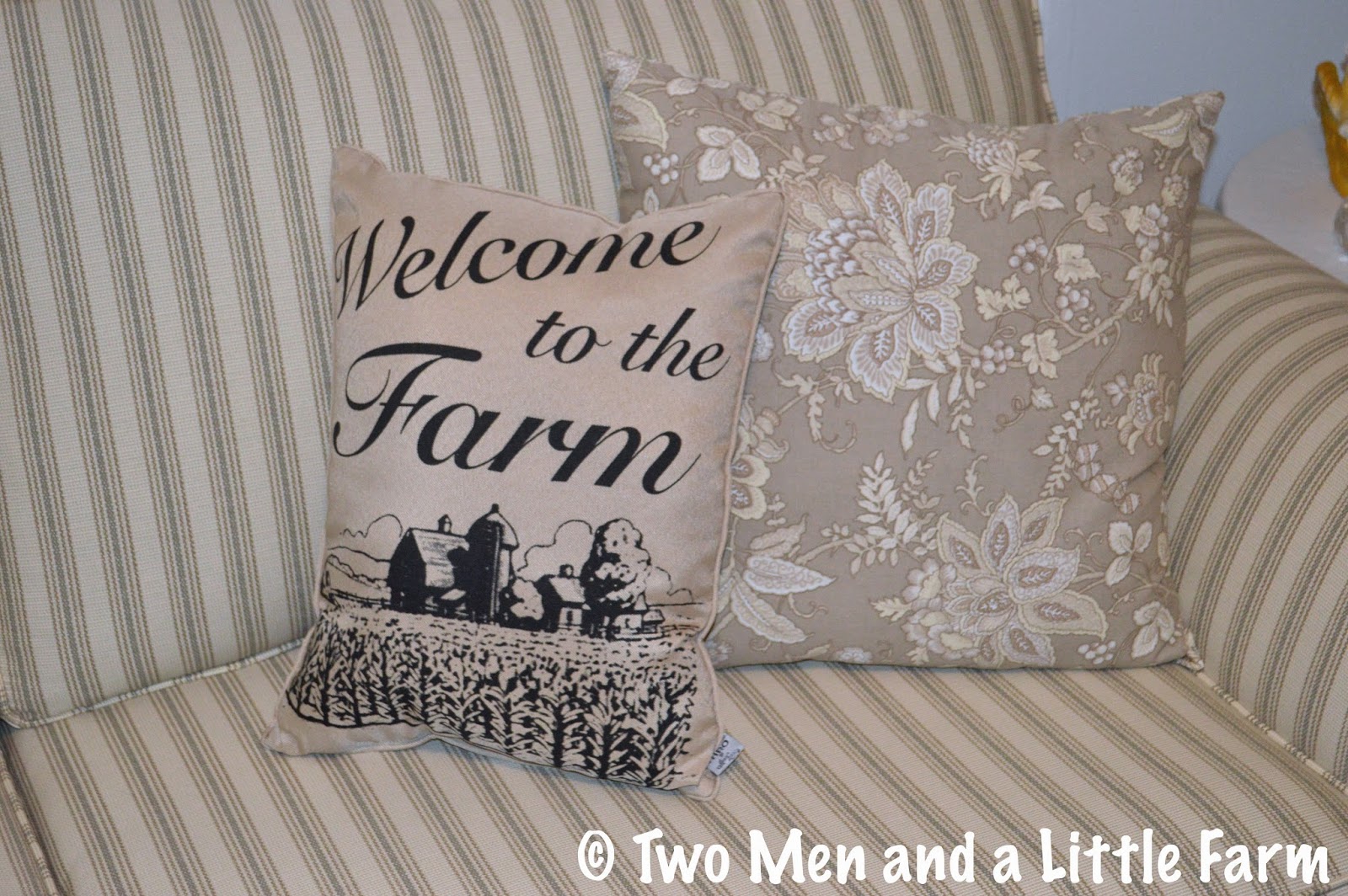 HOw To FARM THEMED PILLOWS