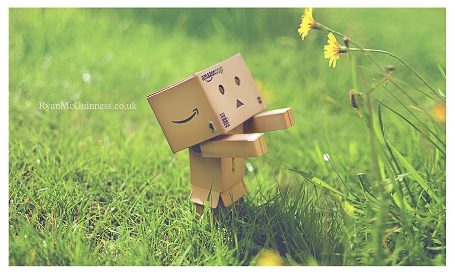ePicturez: 10 stunning picture of Danbo..do you love him like i do??