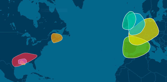 The Cajun Genealogist: Should I Do a DNA test? What will a DNA test ...