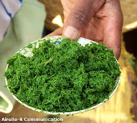 Airelle'R Communication: Laoka matsiro : ravitoto sy henakisoa