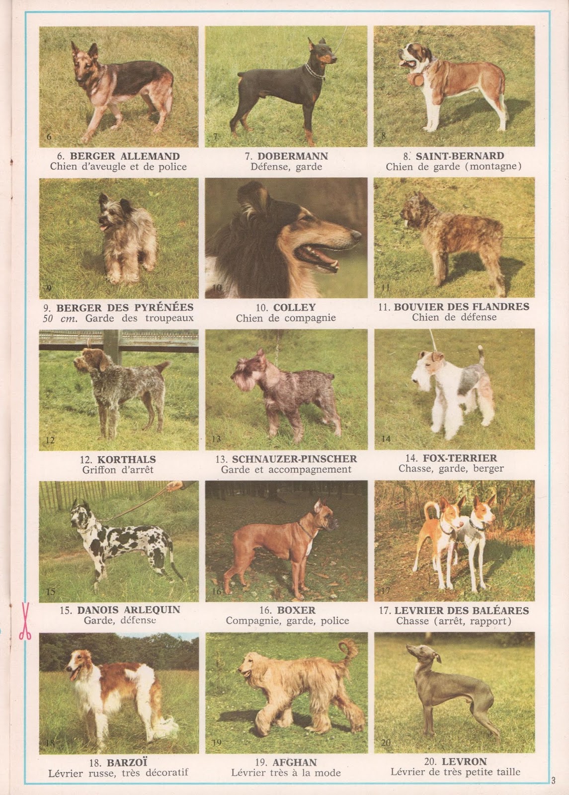 Leçons de choses: Documentation scolaire 143 : Les animaux domestiques