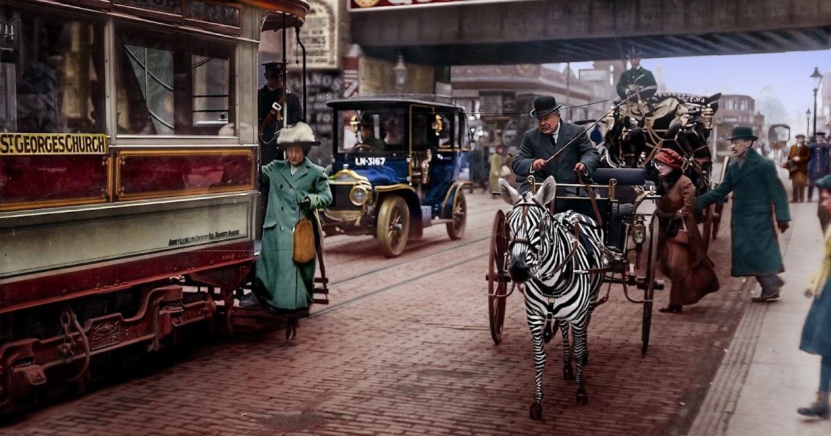 Colors for a Bygone Era: A Zebra-driven carriage on Brixton St. London ...
