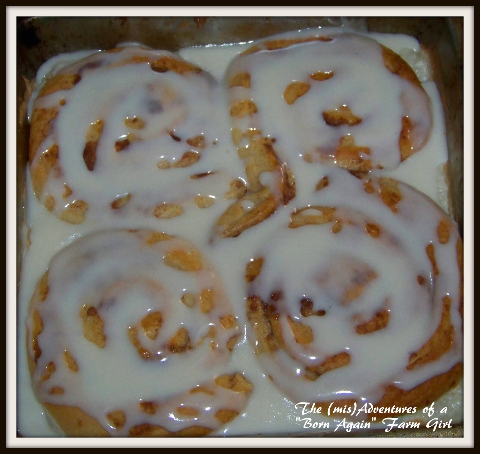 The best dang cinnamon rolls EVER - The (mis)Adventures of a ...
